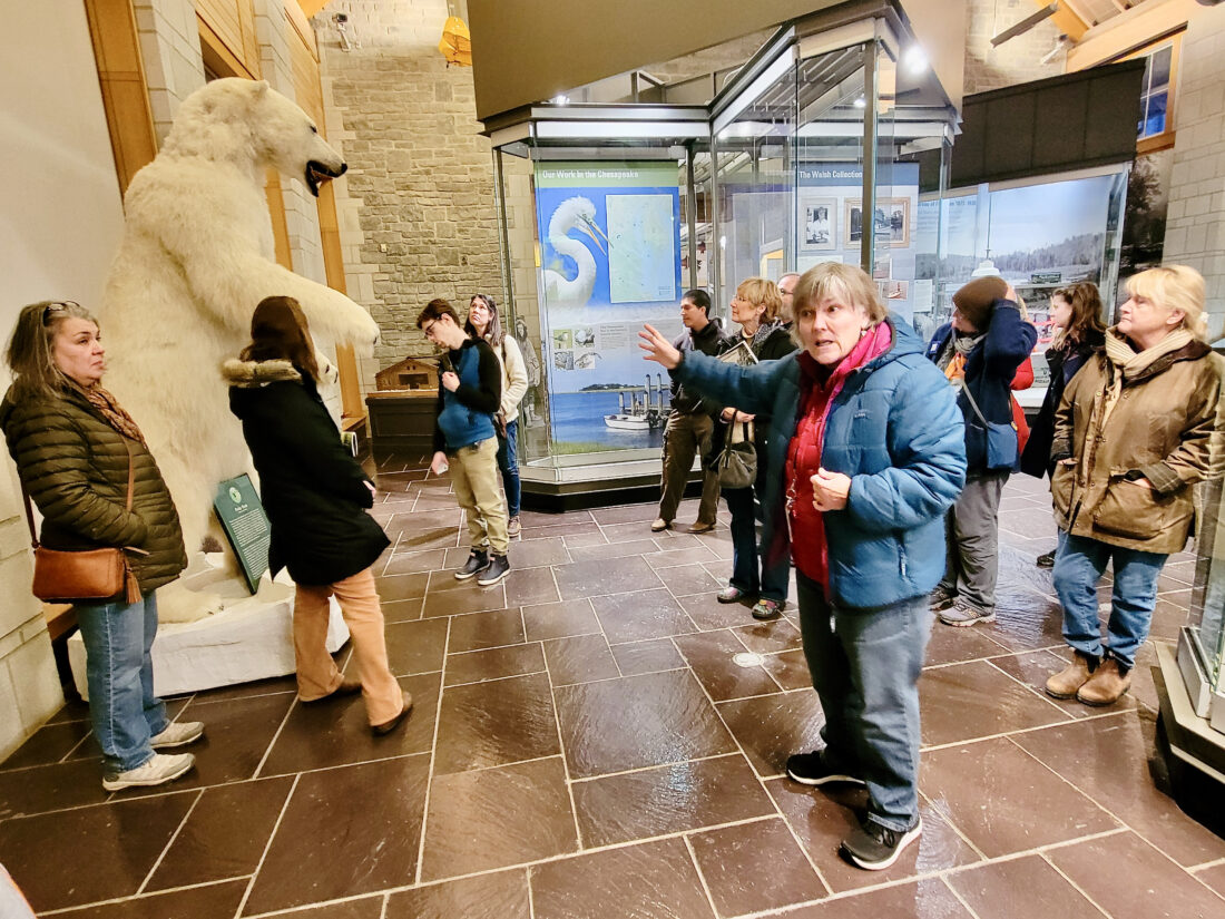 National Conservation Training Center museum highlights origins, work of U.S. Fish & Wildlife ...